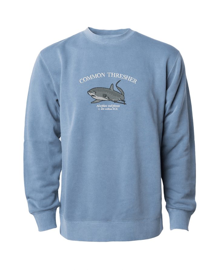 Common Thresher Shark Sweatshirt – Fauna & Co